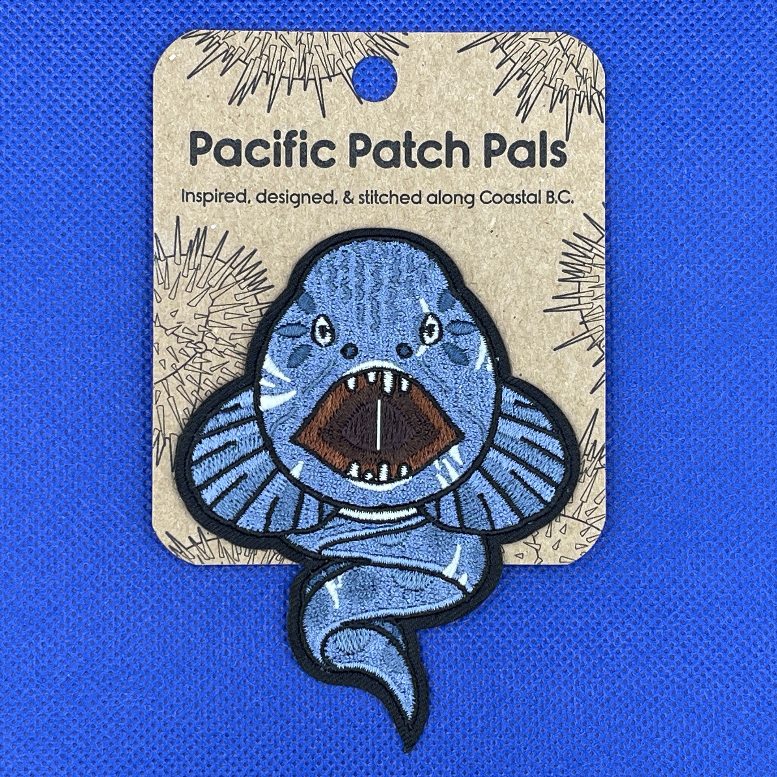 Patch - Wolf Eel – DPAquarium