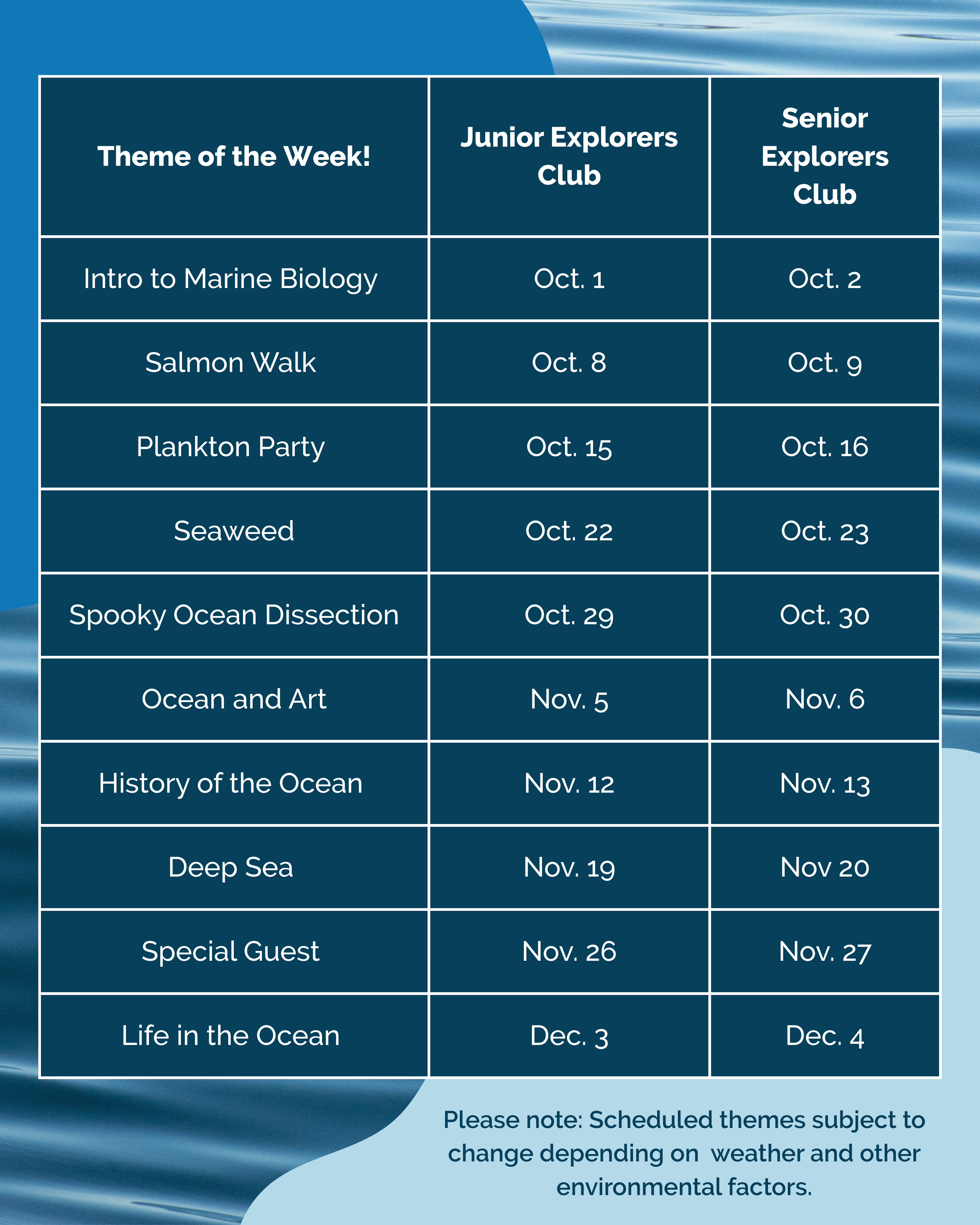 Ocean Discovery After School Club – DPAquarium