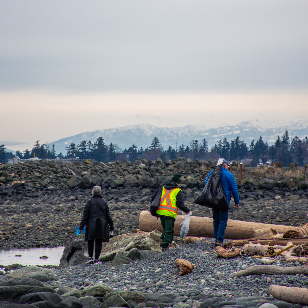 Event - Shoreline Cleanup – DPAquarium
