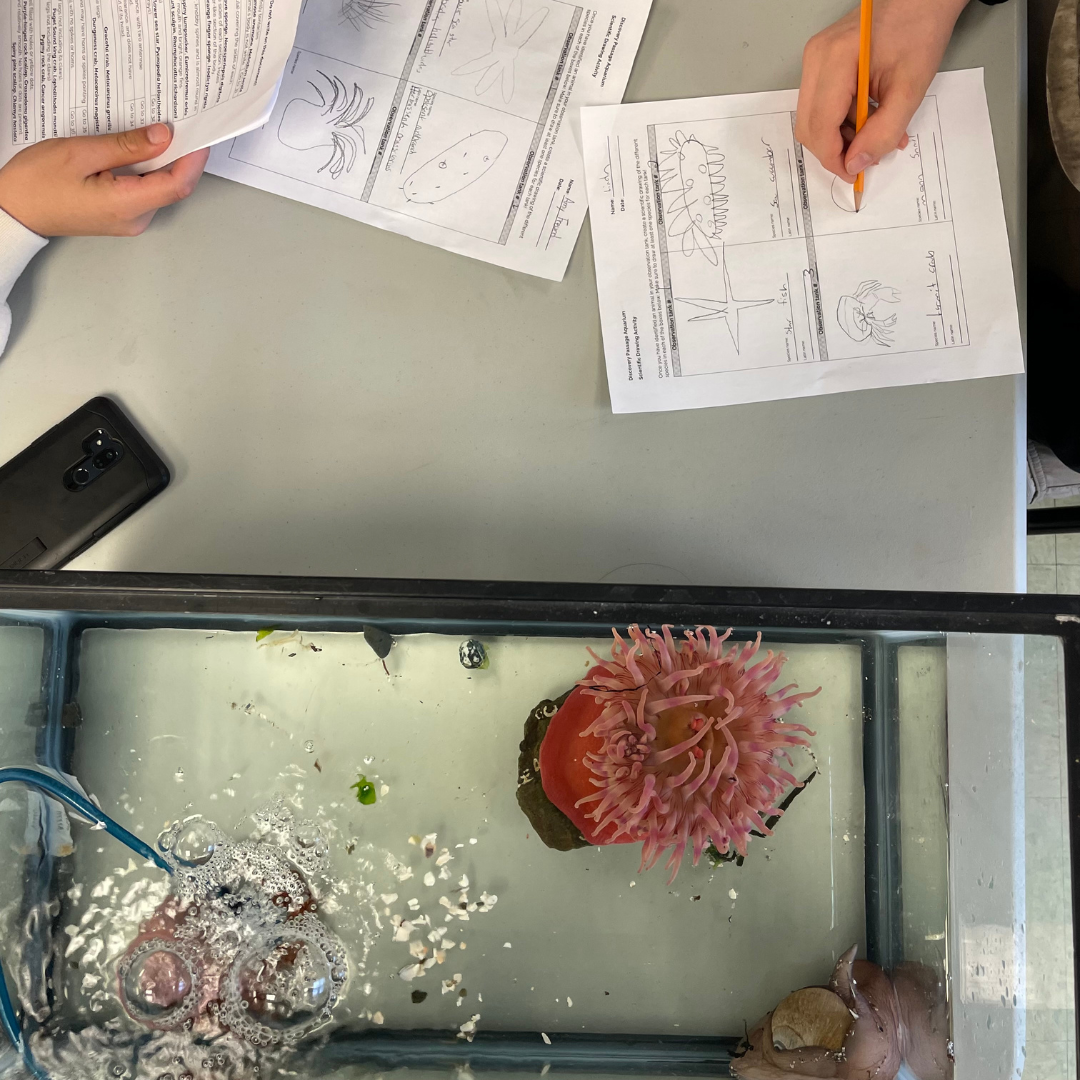 Explorer Lab - Program - Species Exploration (Grades 4-8) – DPAquarium