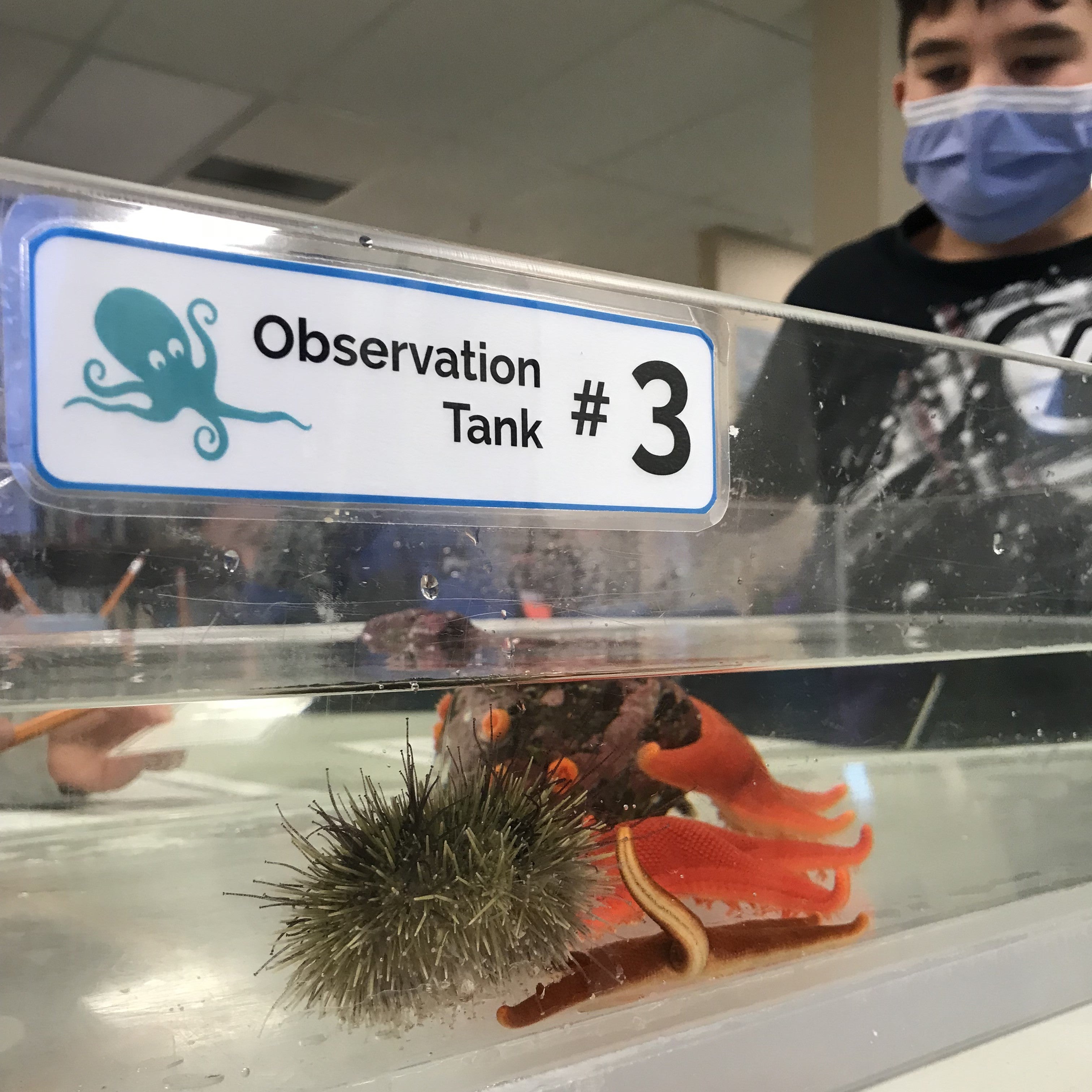 Explorer Lab Open House Round Two! – DPAquarium