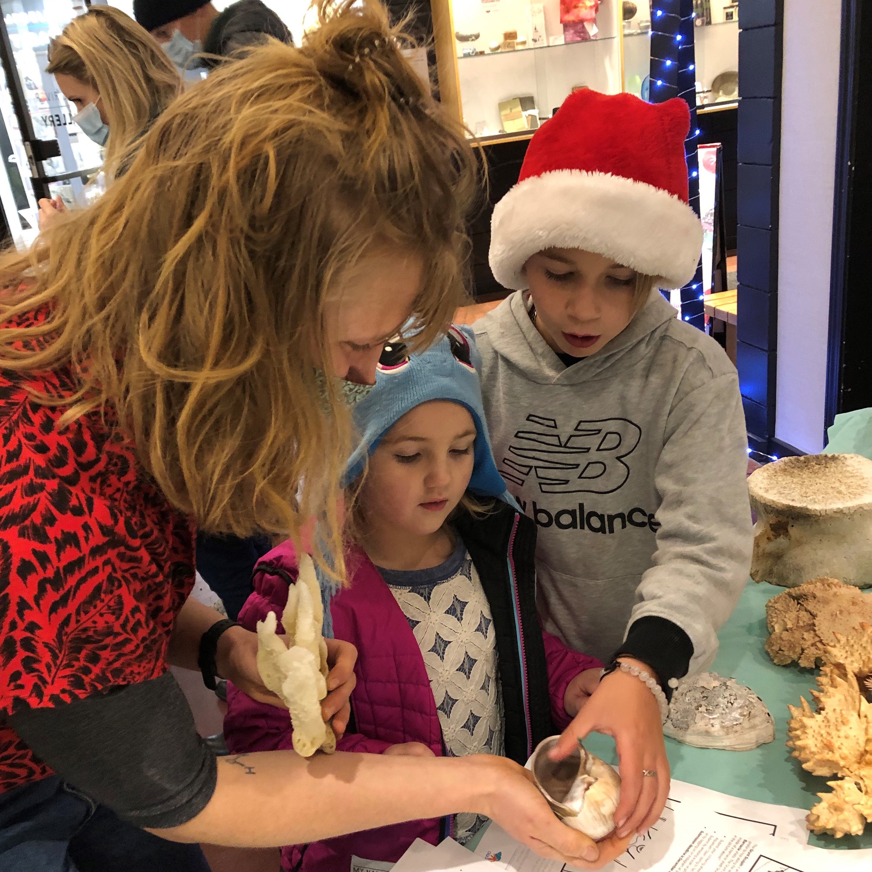 'Tis the Season for Starlight Shopping and Giveaways! – DPAquarium
