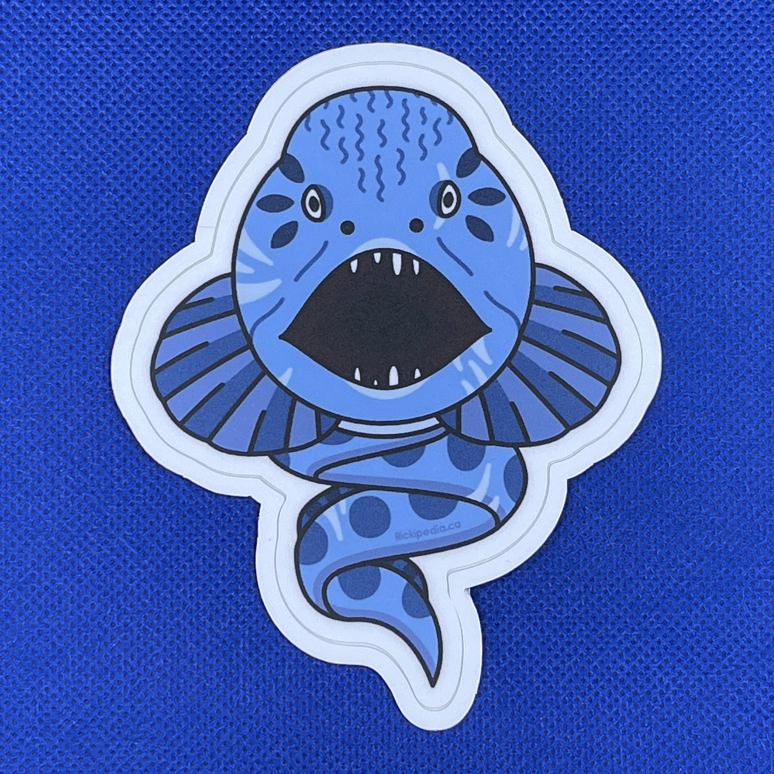 Sticker - Wolf Eel – DPAquarium