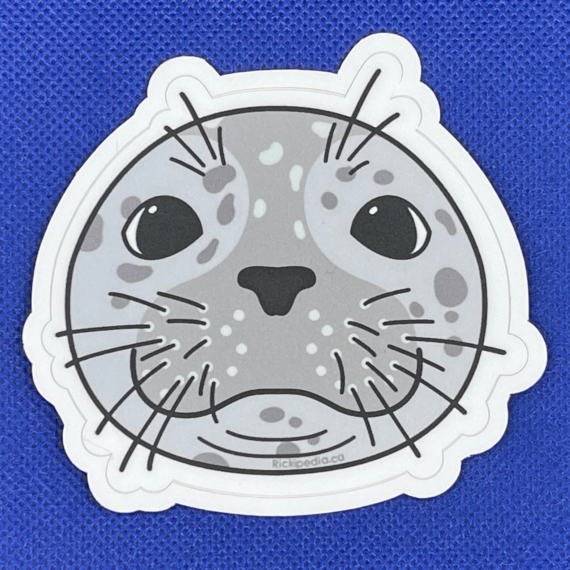 Sticker - Harbour Seal – DPAquarium