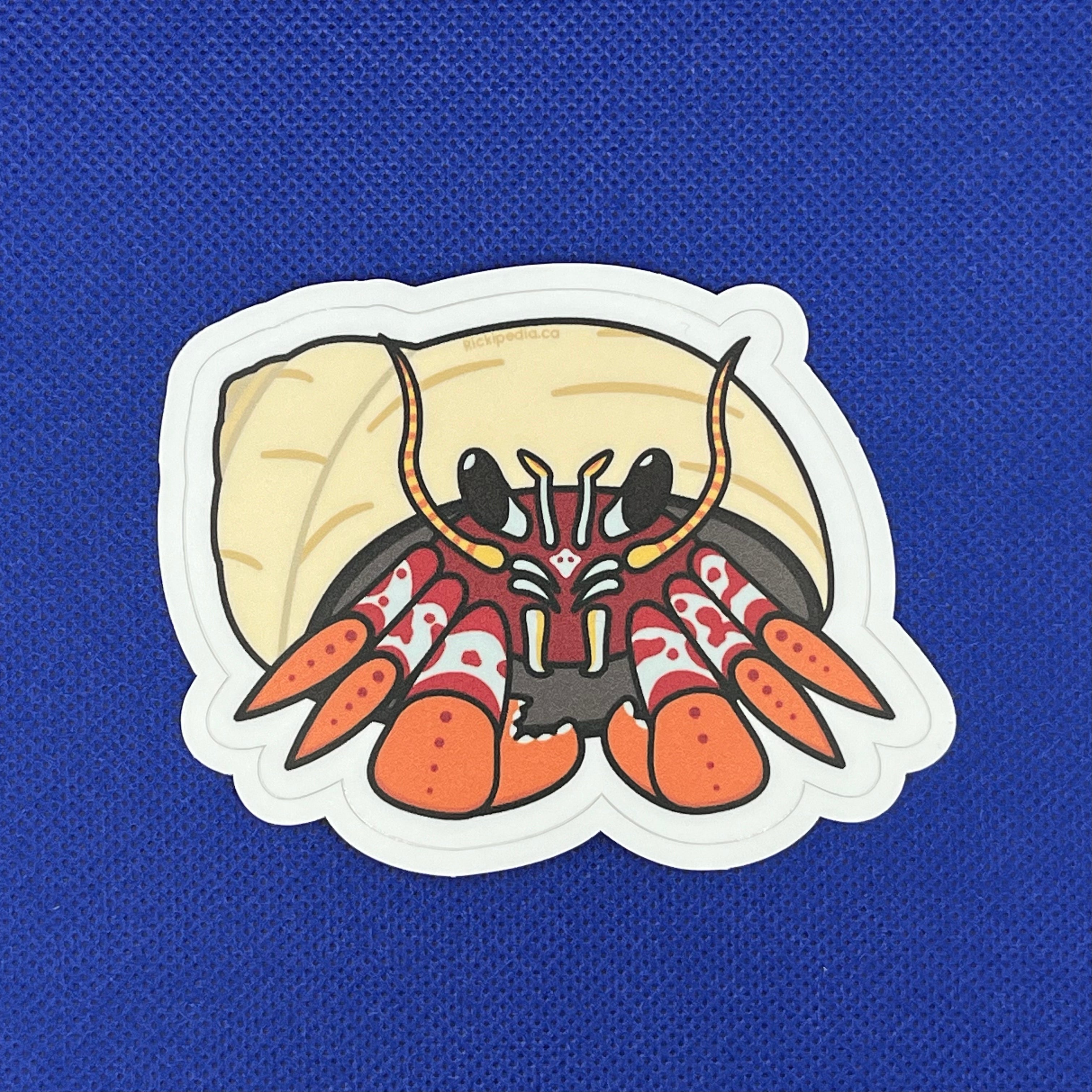 Sticker - Black-eyed Hermit Crab – DPAquarium